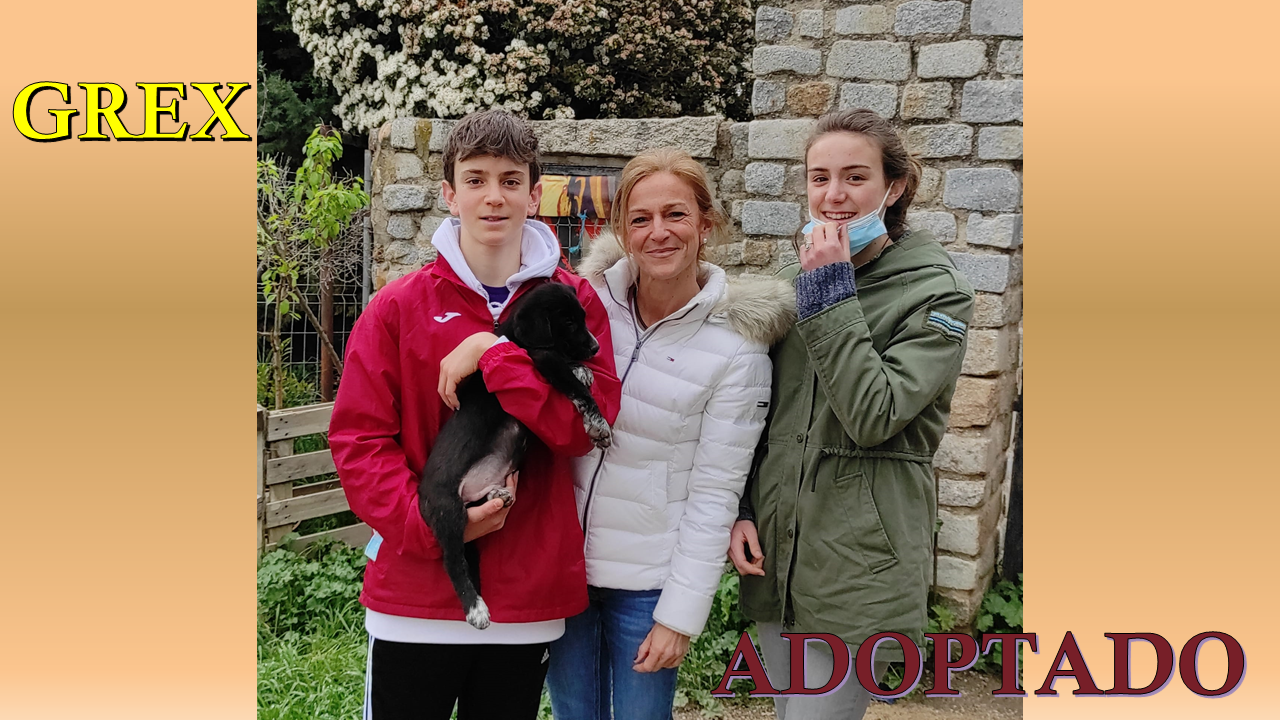 GREX – ASCAN Madrid