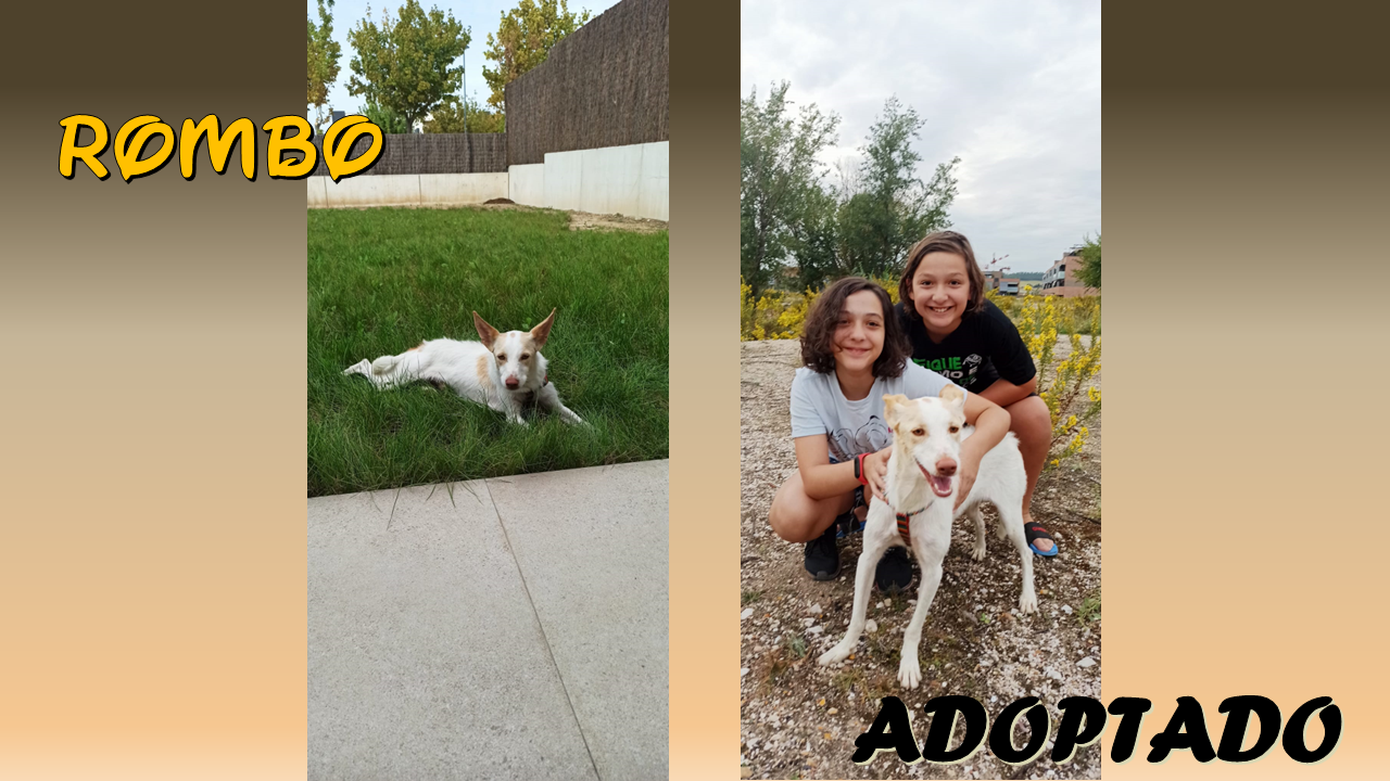 ROMBO - ASCAN Madrid